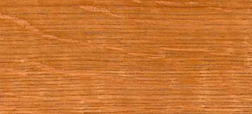 WoodpeckerAngular