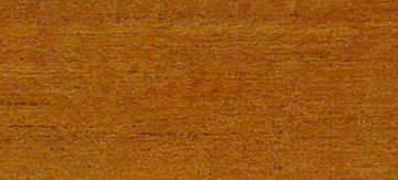 WoodpeckerAngular