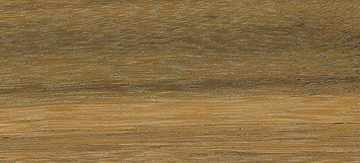WoodpeckerAngular
